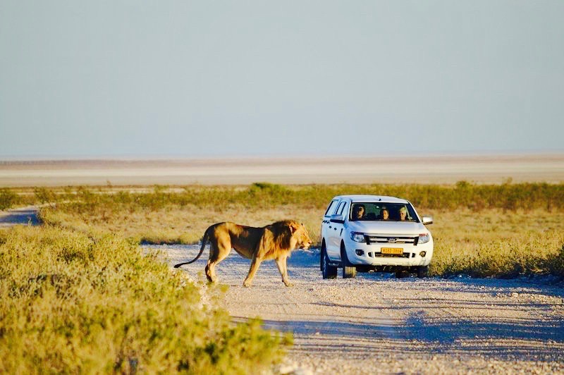 Namibia to Launch Retiree Residency Program for Expats in 2020 - IMI Daily