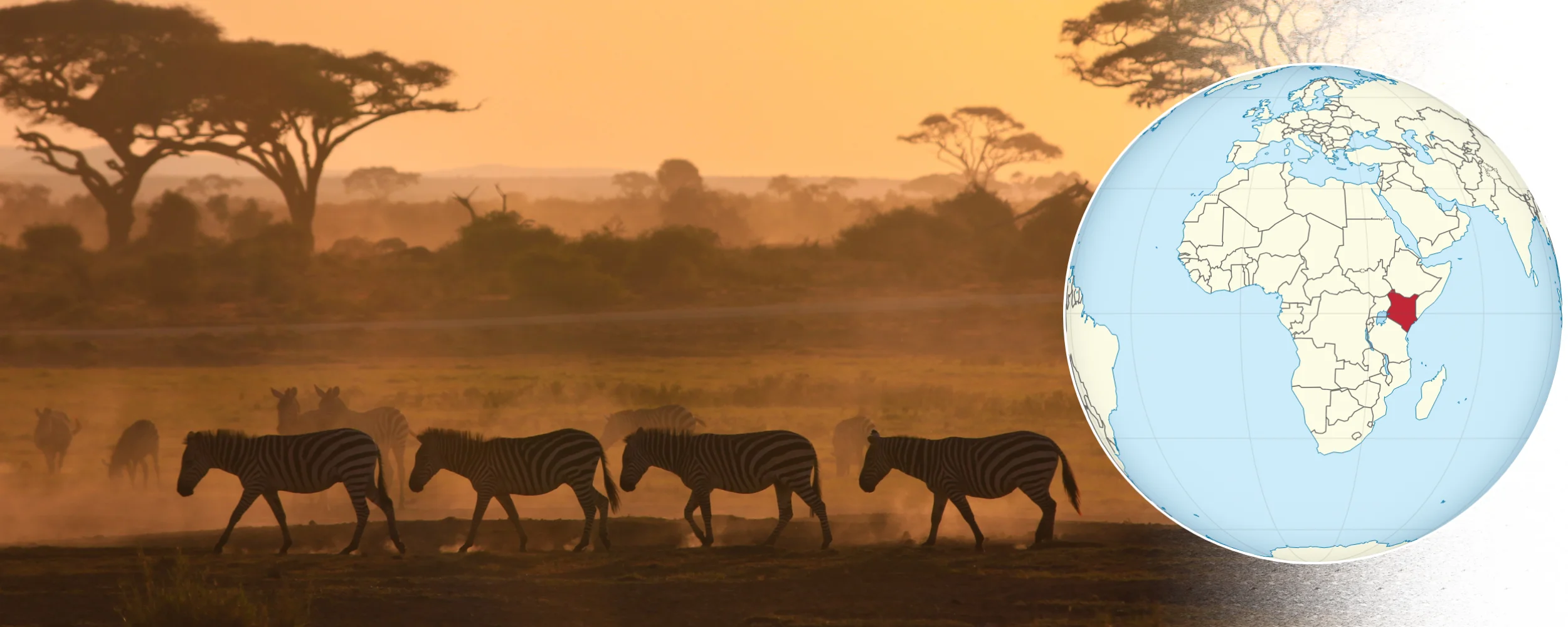 Kenya Class K Residence Permit - IMI Daily